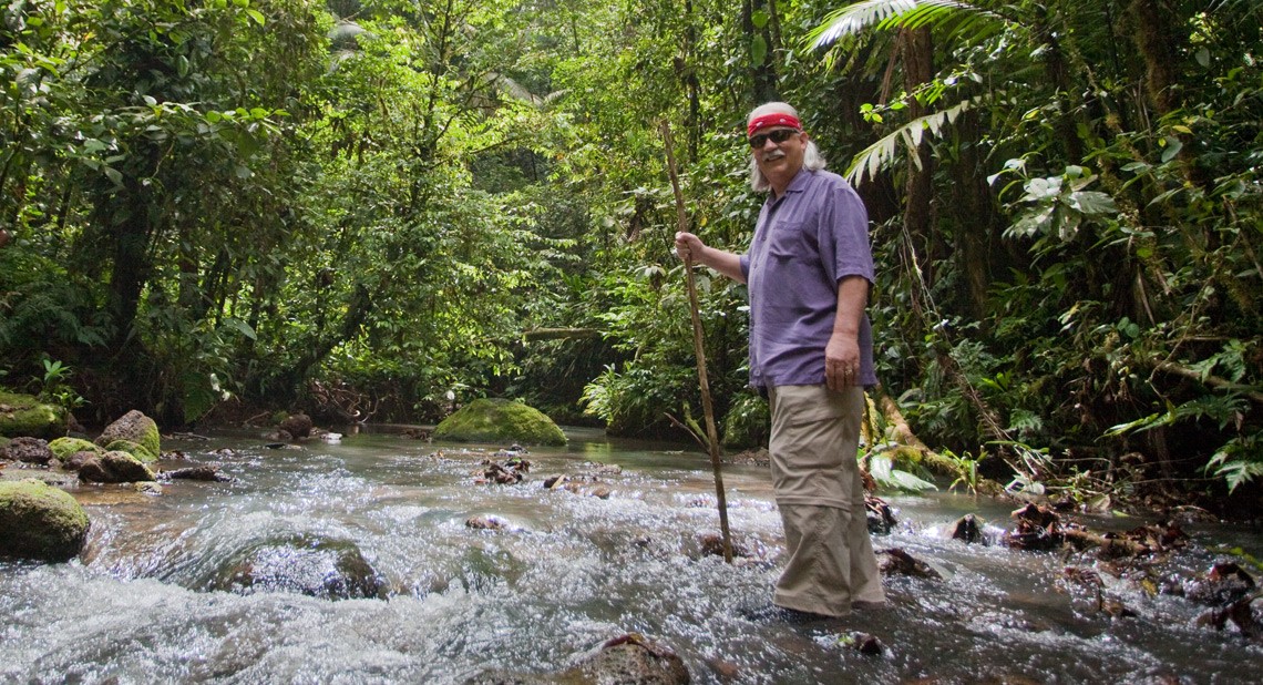 Tom Bedell’s Journey Sourcing Cocobolo and the Creation of the ...