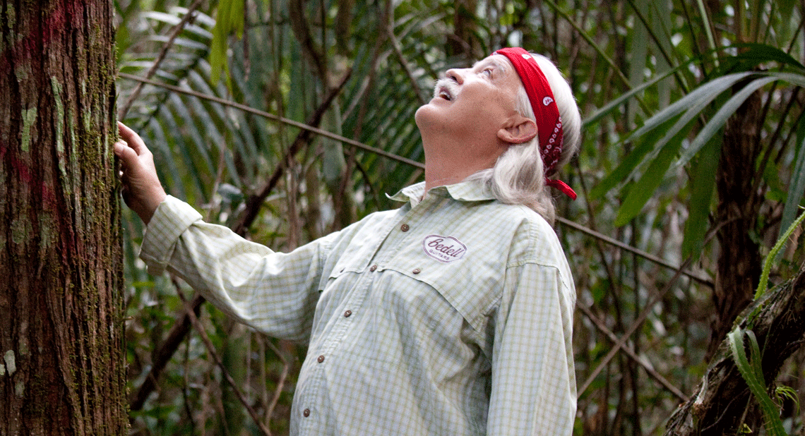 Tom Bedell & the World’s Tropical Rainforests - Acoustic Guitar ...